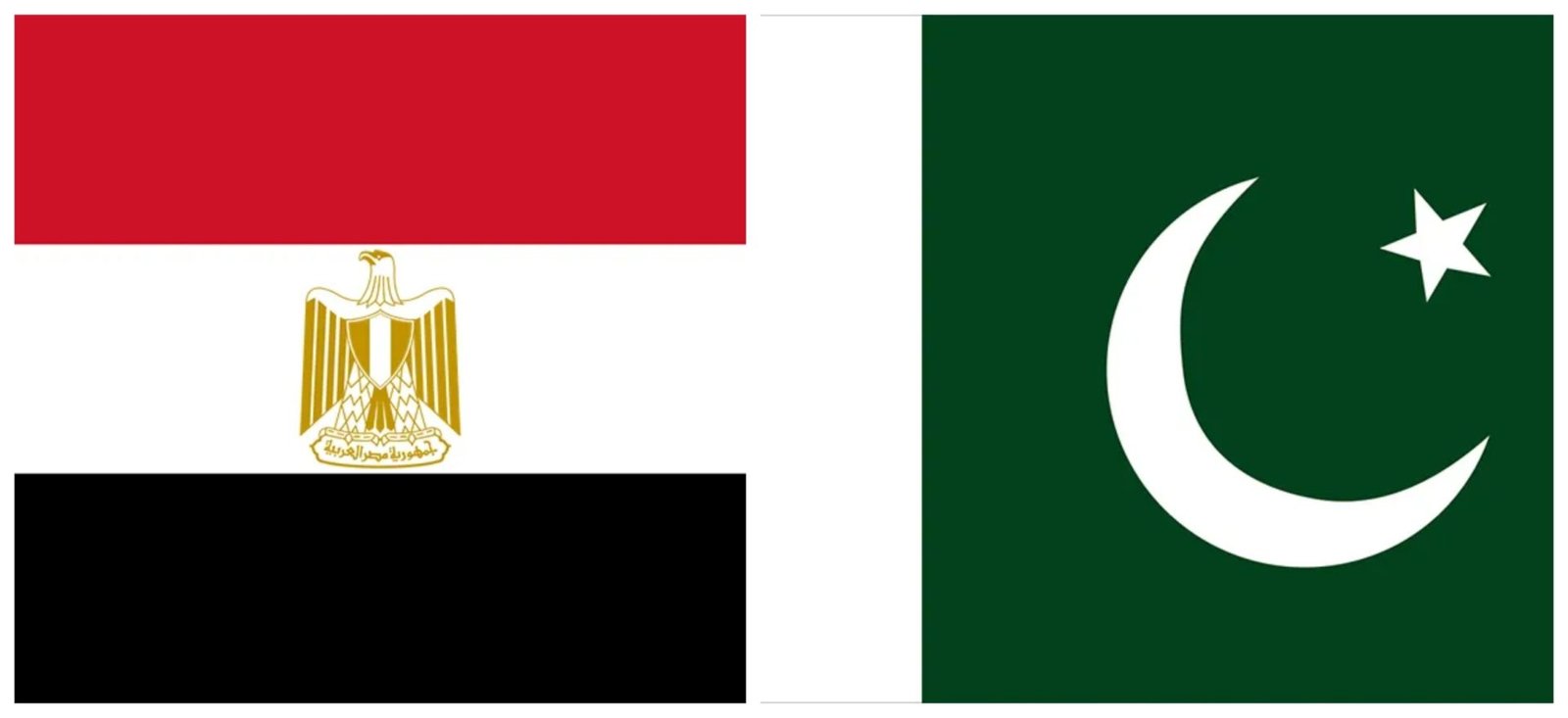 Pakistan felicitate Egypt Revolution Day - TDI