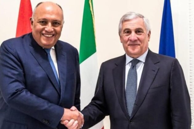 Italy, Egypt forge bilateral and regional cooperation - TDI