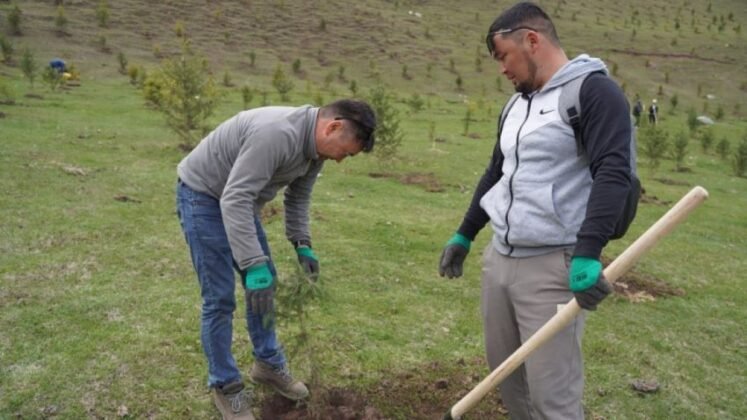 Kyrgyzstan to Plant 10 Million Trees - TDI
